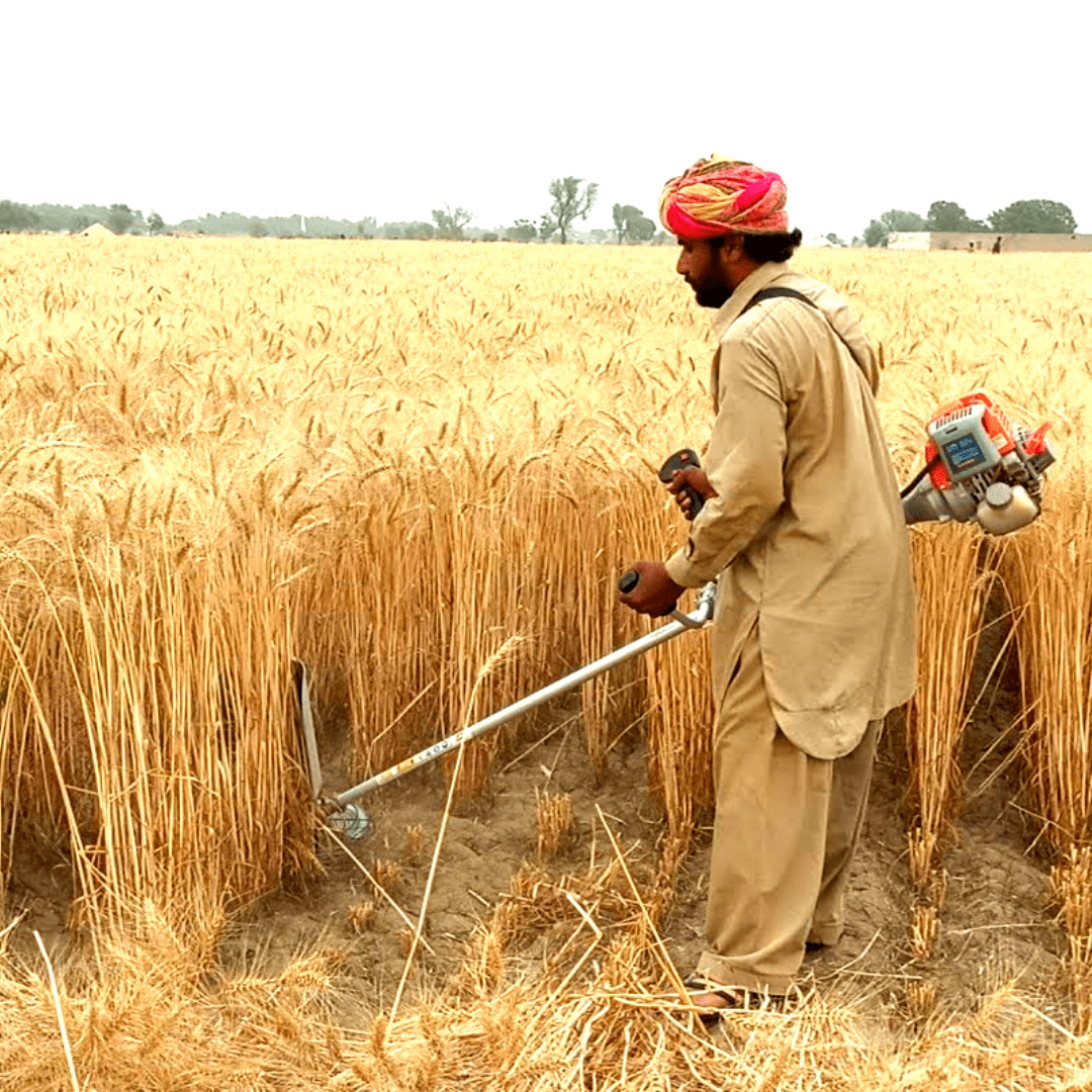 Heavy Duty 52CC Petrol Gehun Kaatne Ki Machine | Toolz4Industry